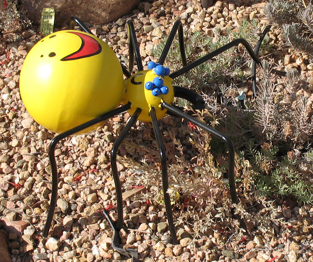 Happy Face Spider « Adobe Dragon Design Studio